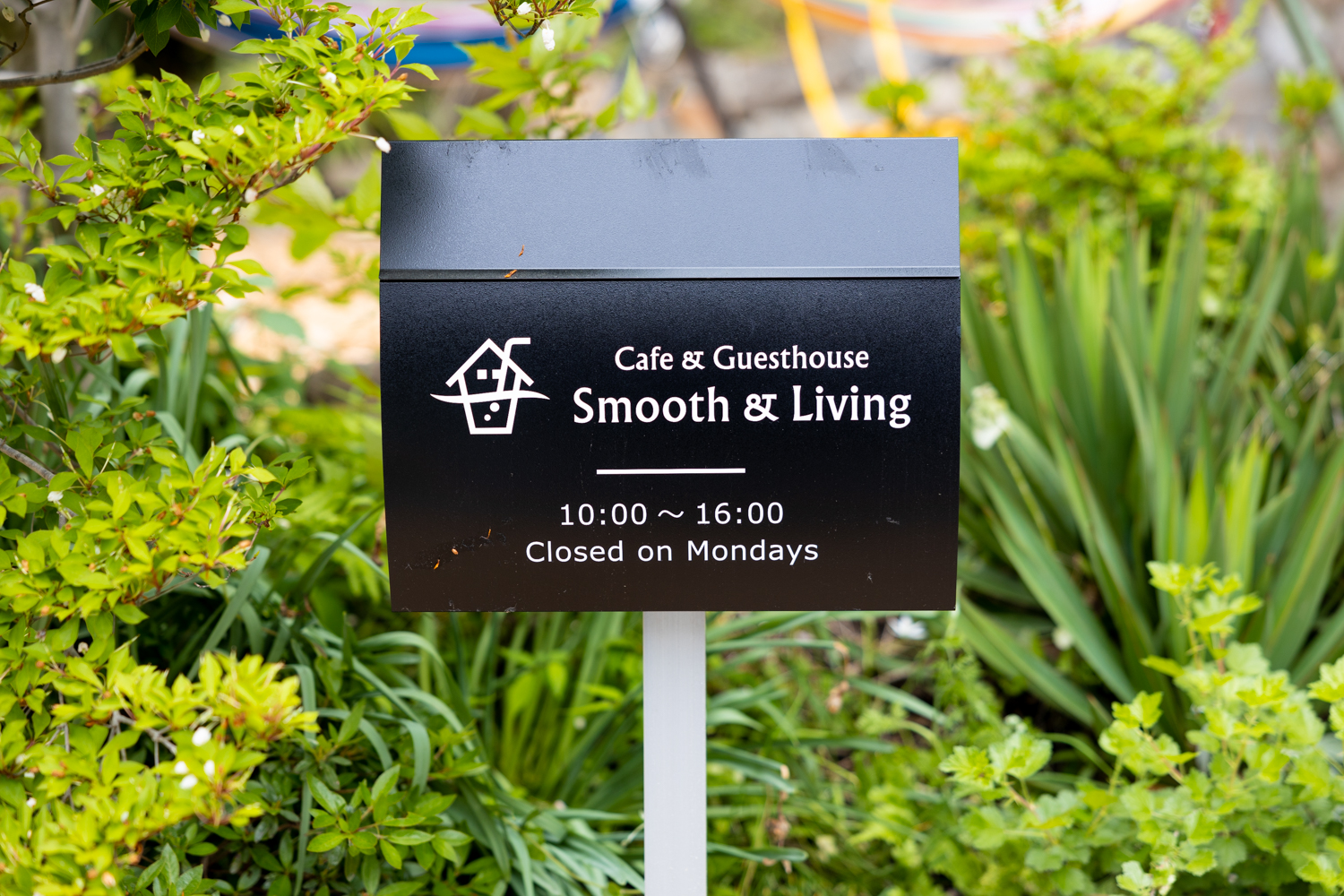 Smooth & Livingでスムージーを飲んでみた│長野を食べ歩き